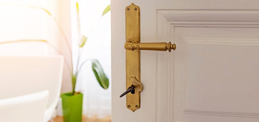 Designer Main/Front Door Handle Designs in India |McCoy Mart