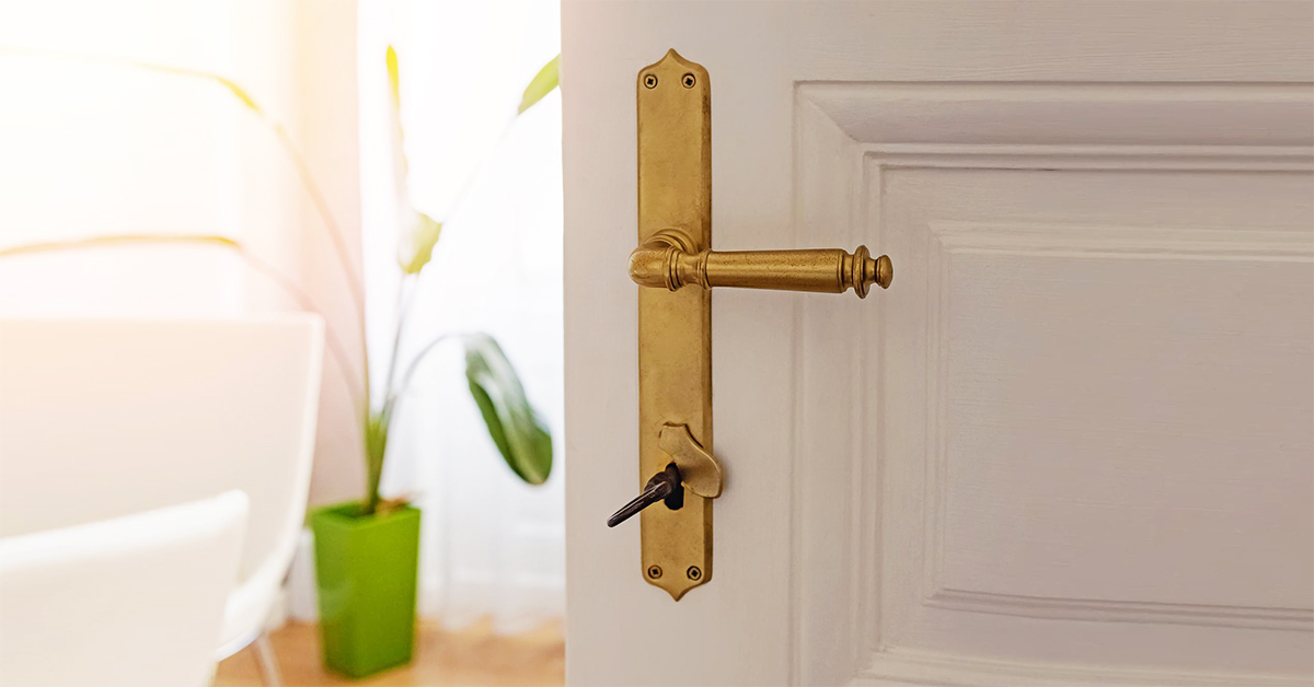 Designer Main/Front Door Handle Designs in India |McCoy Mart